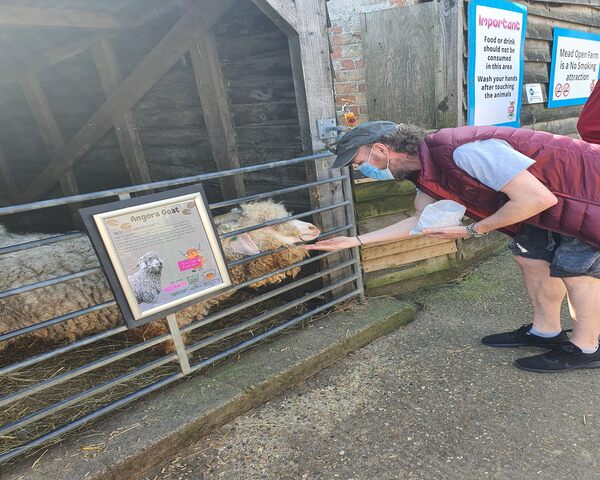 A trip to Mead Open Farm | MacIntyre